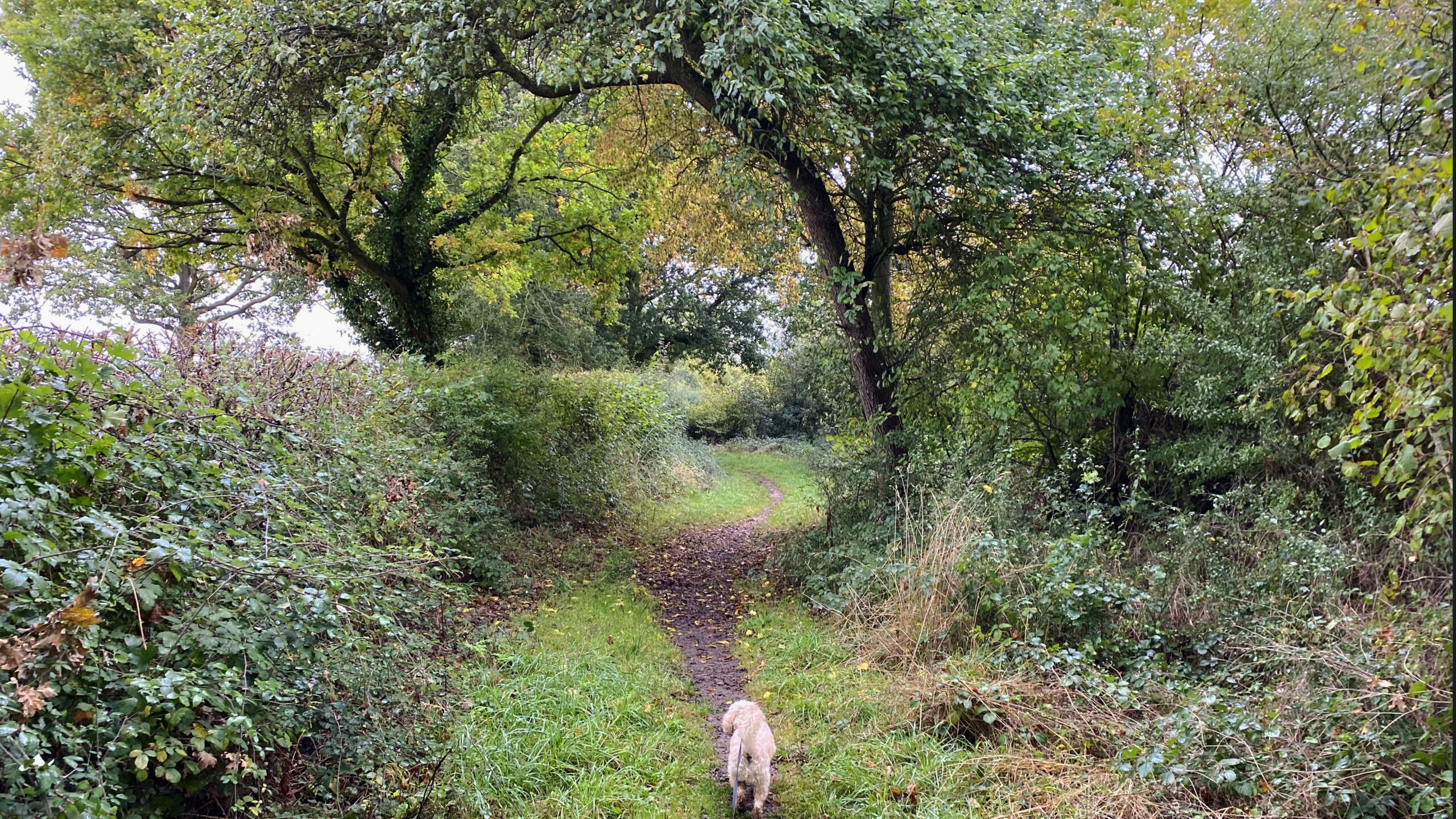Walks - Rougham Estate