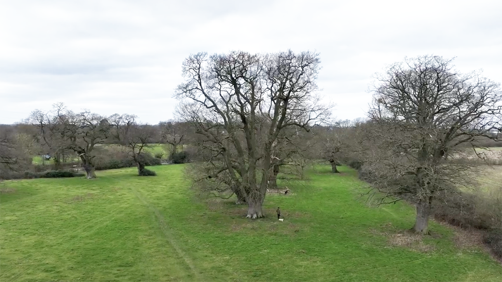 Meadows Walk near Lake Farm - Rougham Estate