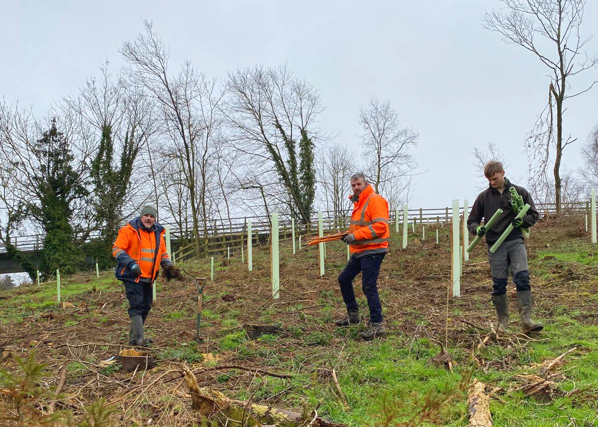 Replanting the Bridge Embankment - Rougham Estate