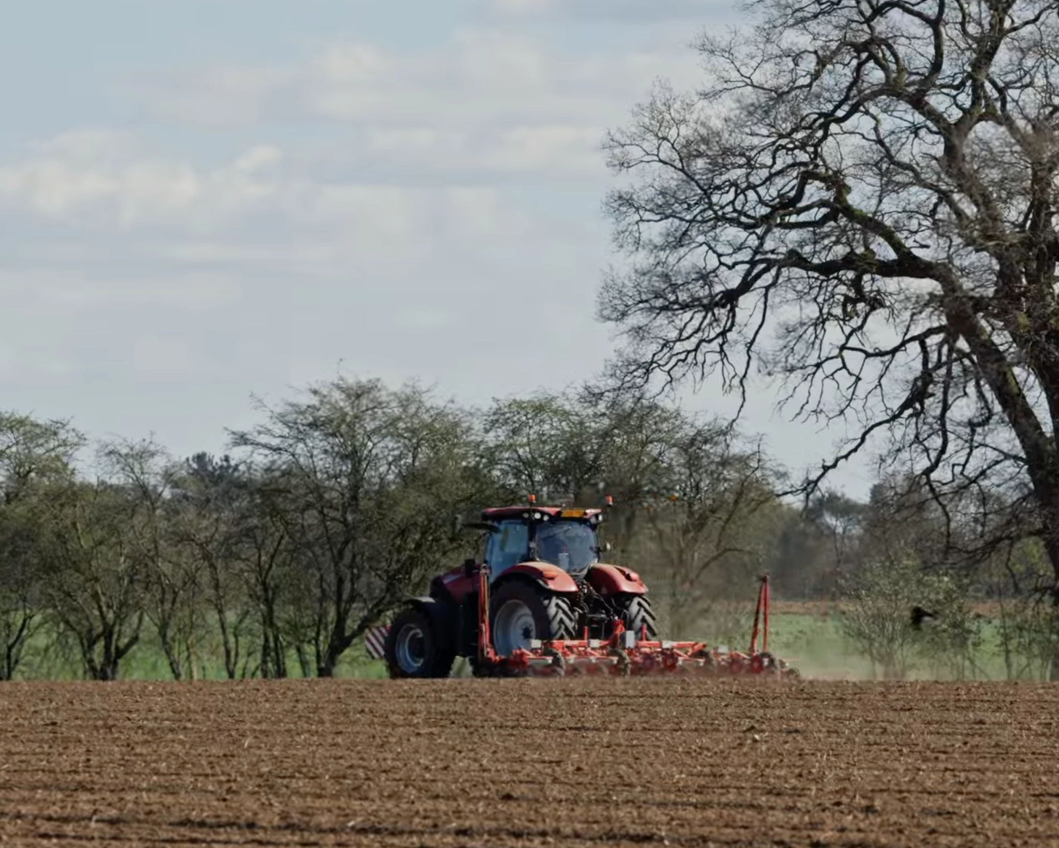 March on the Estate - Rougham Estate