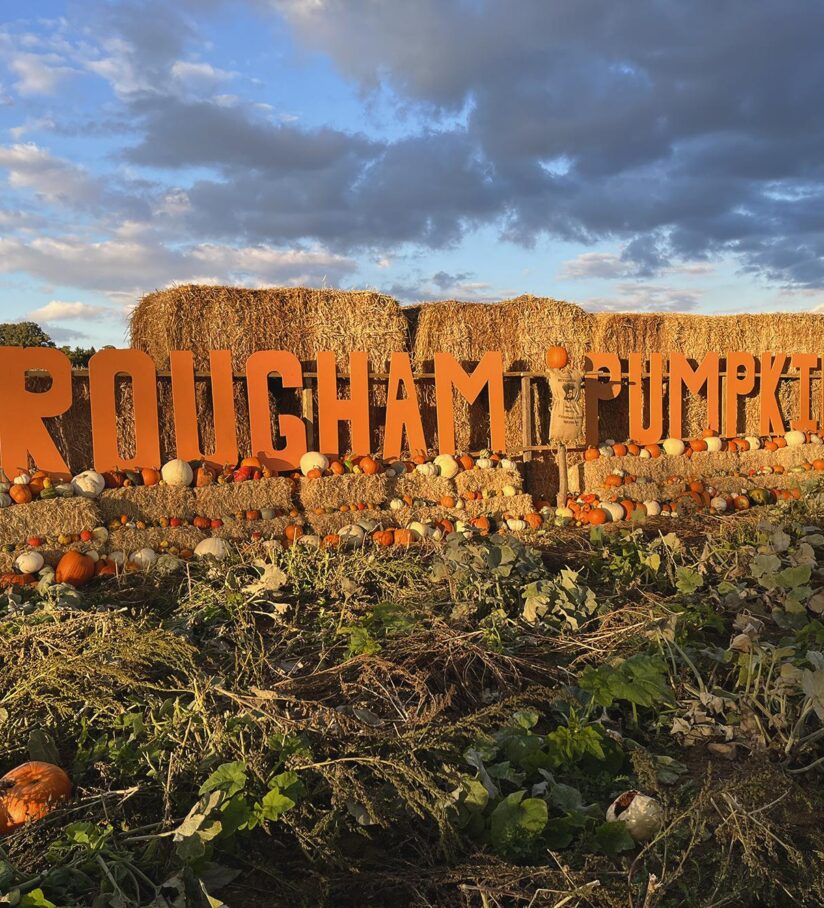 Pick Your Own Pumpkins: Autumn Fun at Rougham Pumpkin Patch
