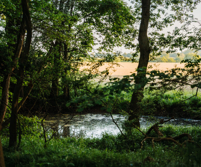 Rougham Estate - a historic gem in the heart of Suffolk