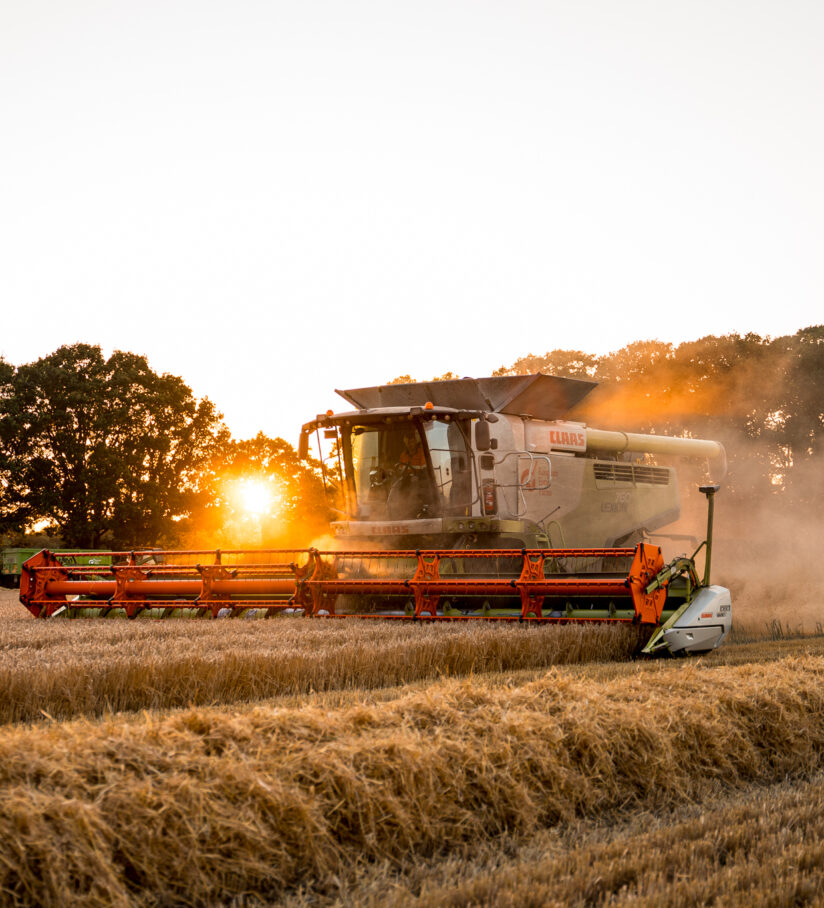 Arable farming at Rougham Estate Farm, Bury St Edmunds