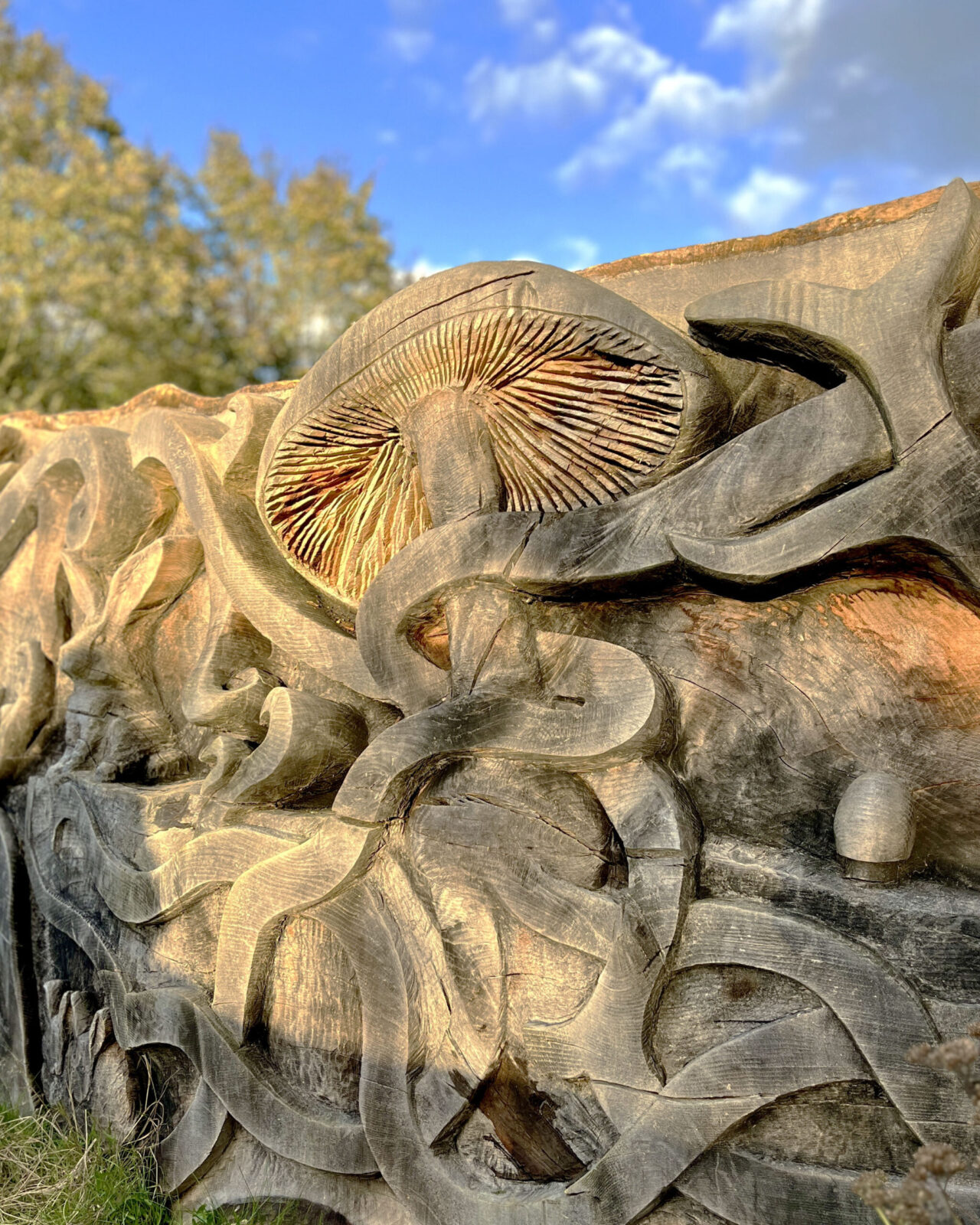 Blackthorpe Barn: indoor event location on Rougham Estate