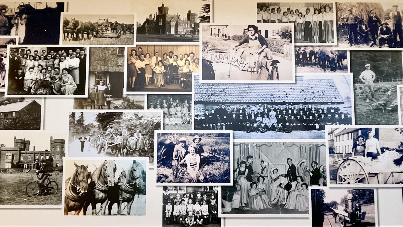 Thousands of years of Suffolk's history at Rougham Estate