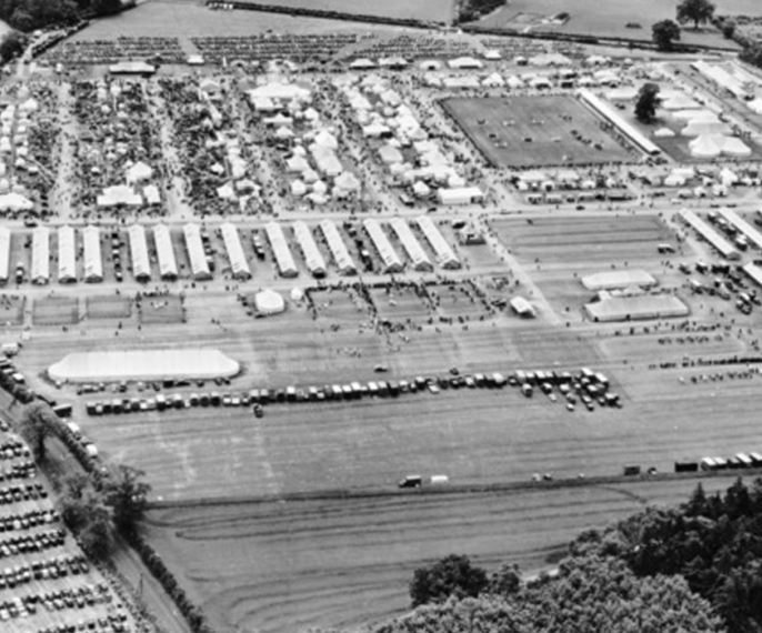 Rougham Hall: a Grade II listed ruin on Rougham Estate
