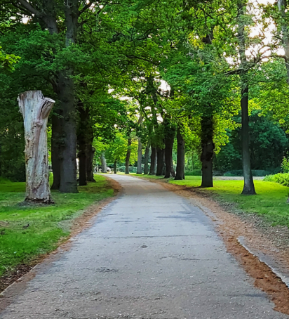 Welcome - Rougham Estate