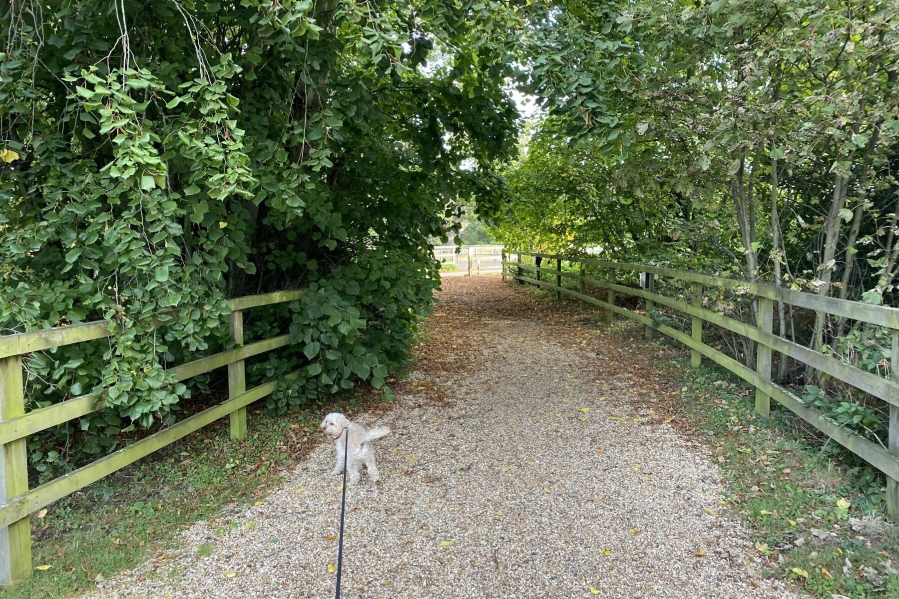 Meadows Walk near Lake Farm - Rougham Estate