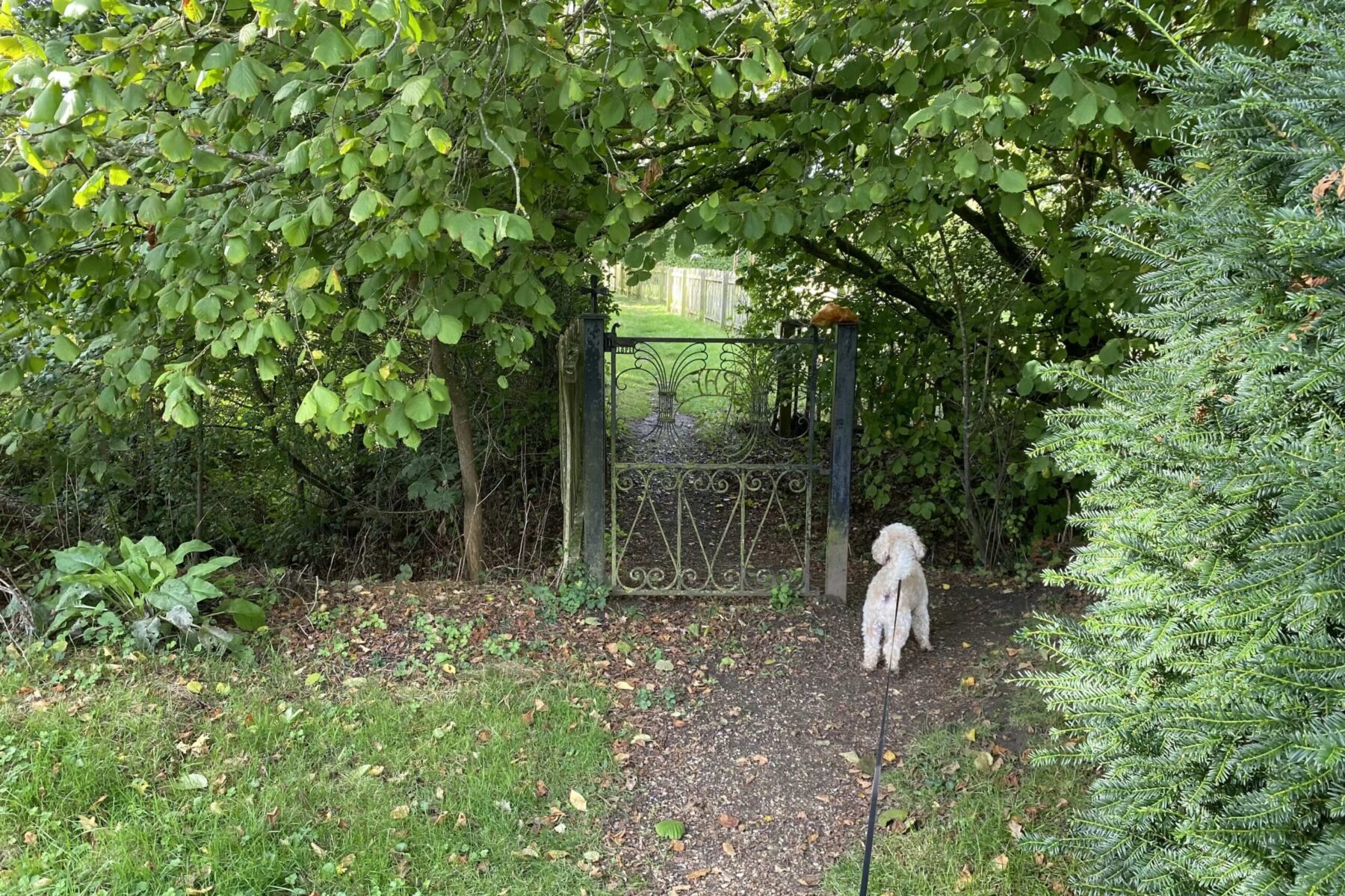 Meadows Walk near Lake Farm - Rougham Estate
