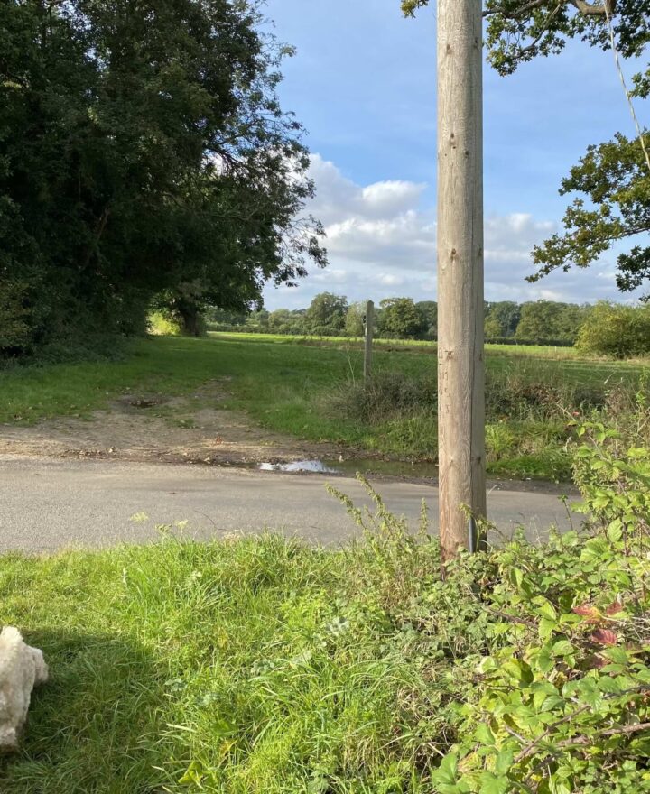 Meadows Walk near Lake Farm - Rougham Estate