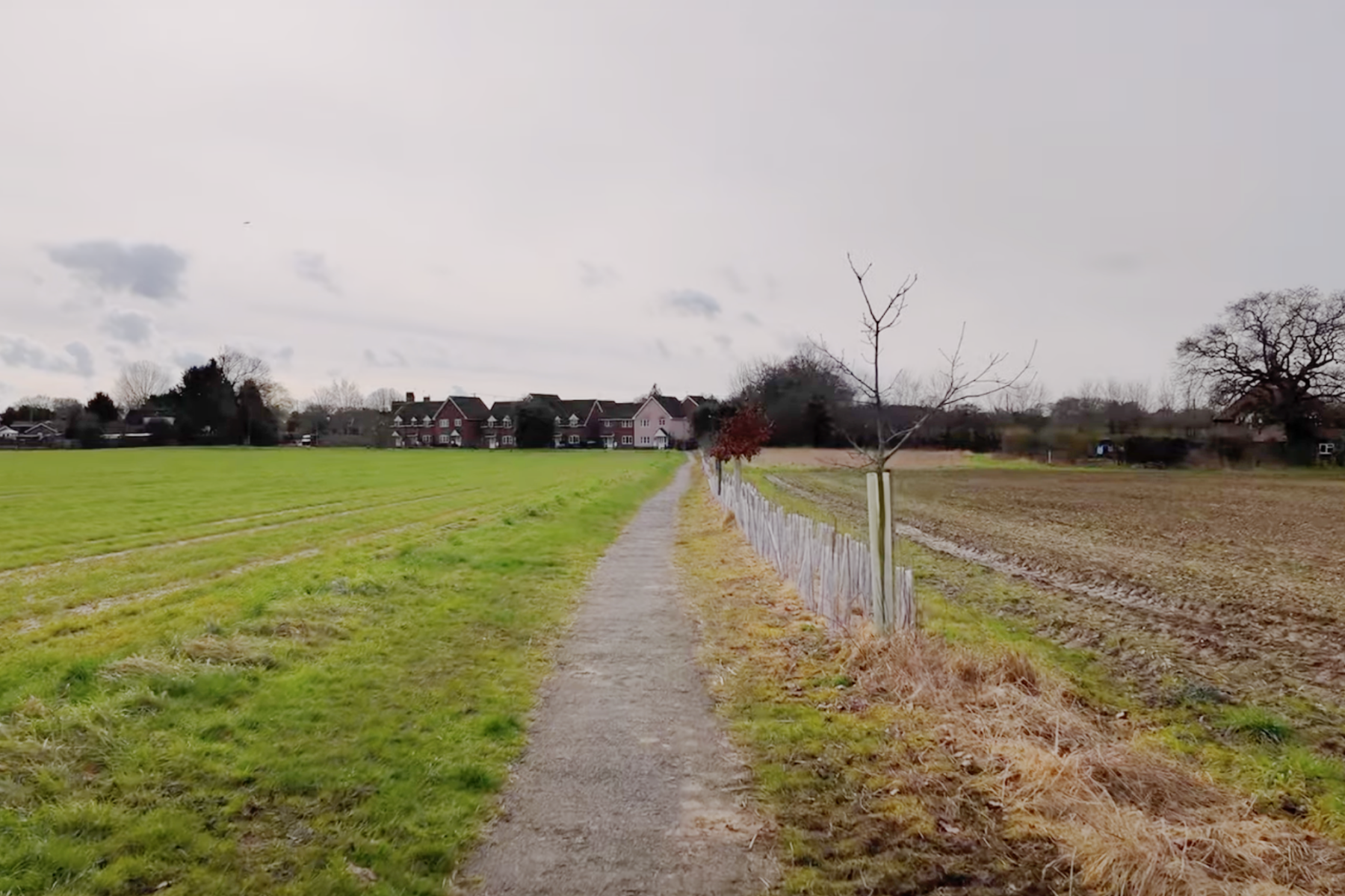 Chevins Wood Walk - Rougham Estate