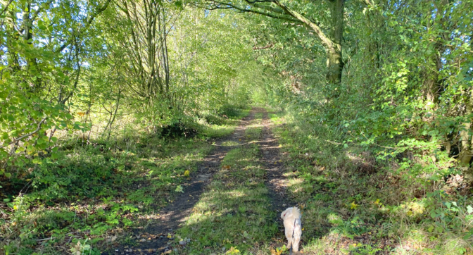 Walks - Rougham Estate