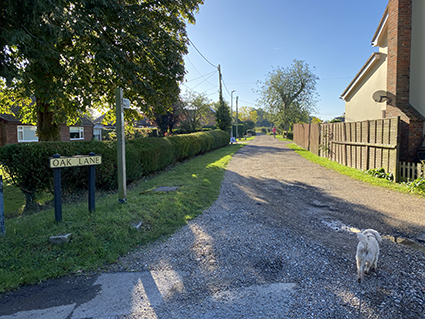 Roman Rougham Walk - Rougham Estate